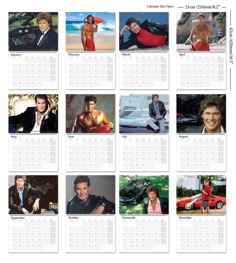 David Hasselhoff | 2026/27 | Choose Start Months/year | Large Full ...