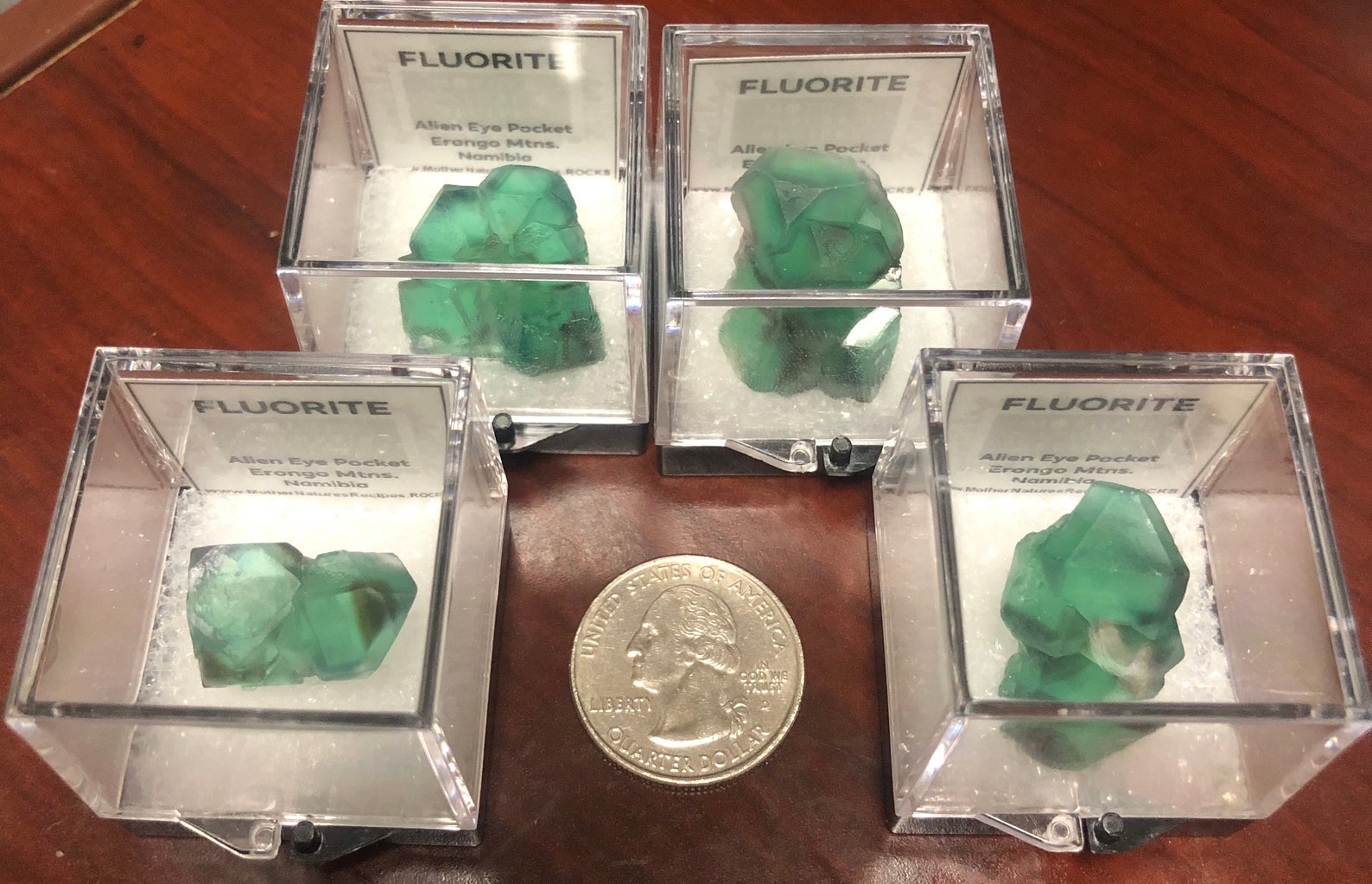 Colección rara Alien Eye Fluorite Equilibrio todo chakra | Etsy