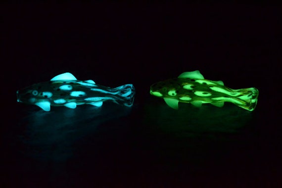 Glow in the Dark Fish Art Piece Trout Salmon | Etsy