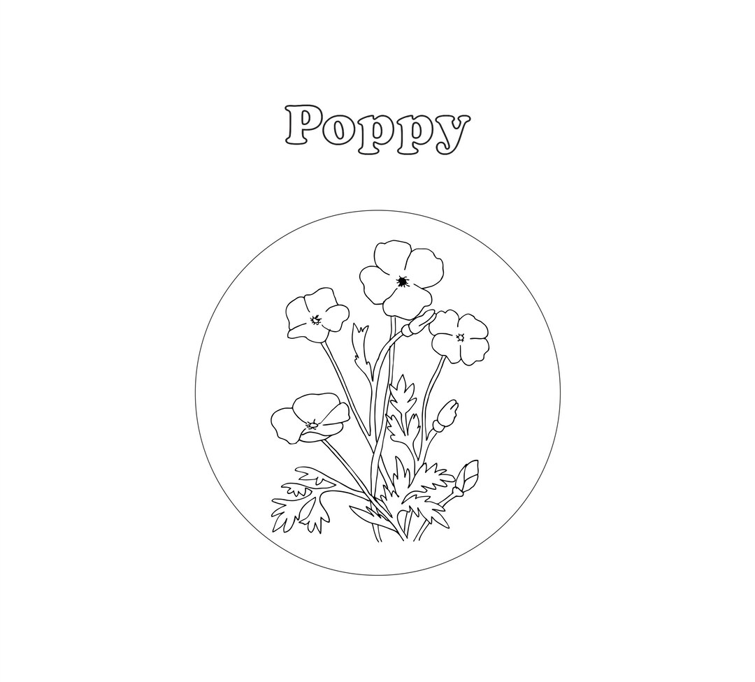 Template Pattern Design Hand Embroidery Poppy PDF Pattern Poppy Design ...
