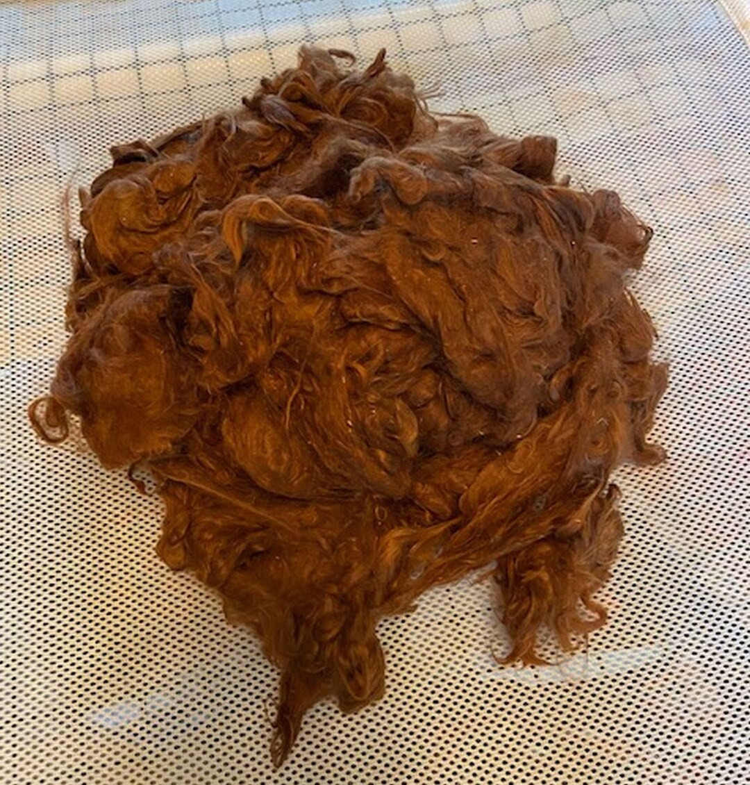 Suri Alpaca Fleece for Hand Spinning, Washed, Soft, Rich Brown Color ...
