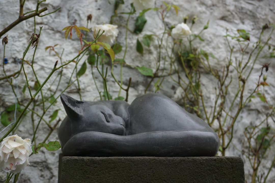 Life-sized Curled Cat Grave Memorial Sculpture - Slate Resin - Etsy