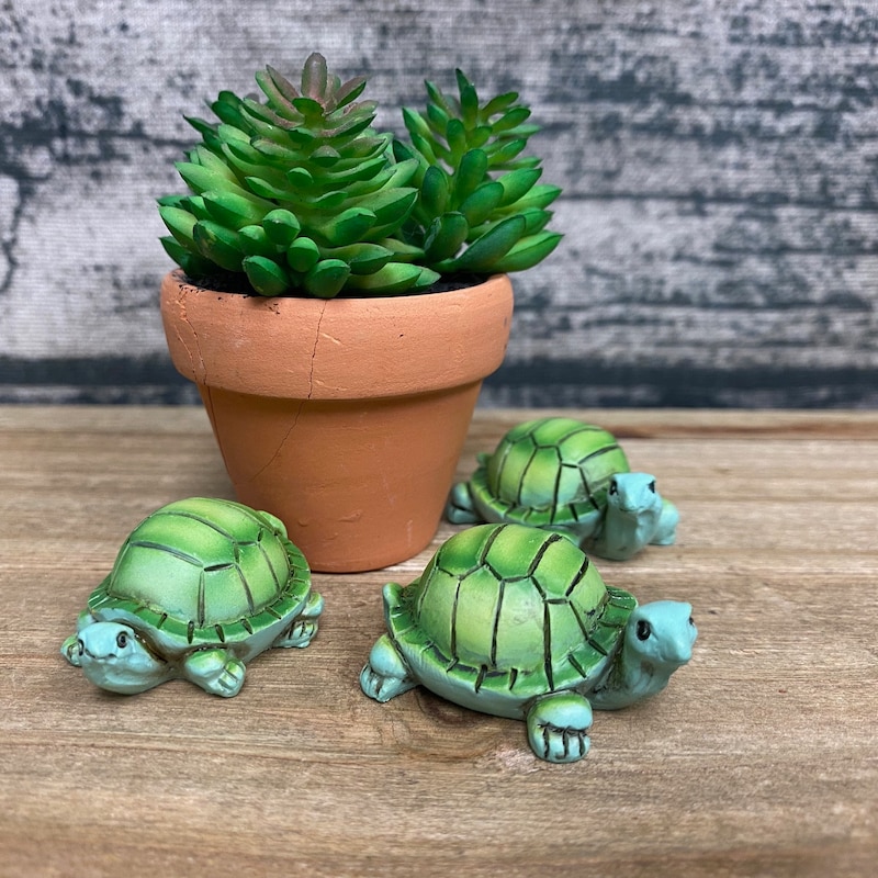 Tortoise Miniature - Etsy