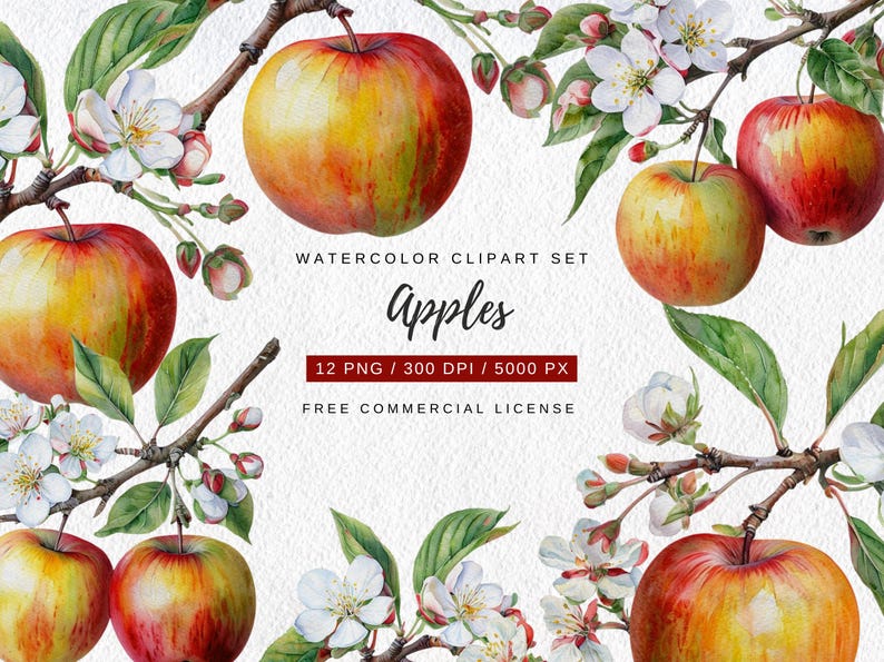 12 Watercolor Apple PNG Clipart High-resolution Fruit Illustrations for ...