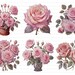 24 Beautiful Pink Roses PNG Clipart – High-quality Transparent Flower ...