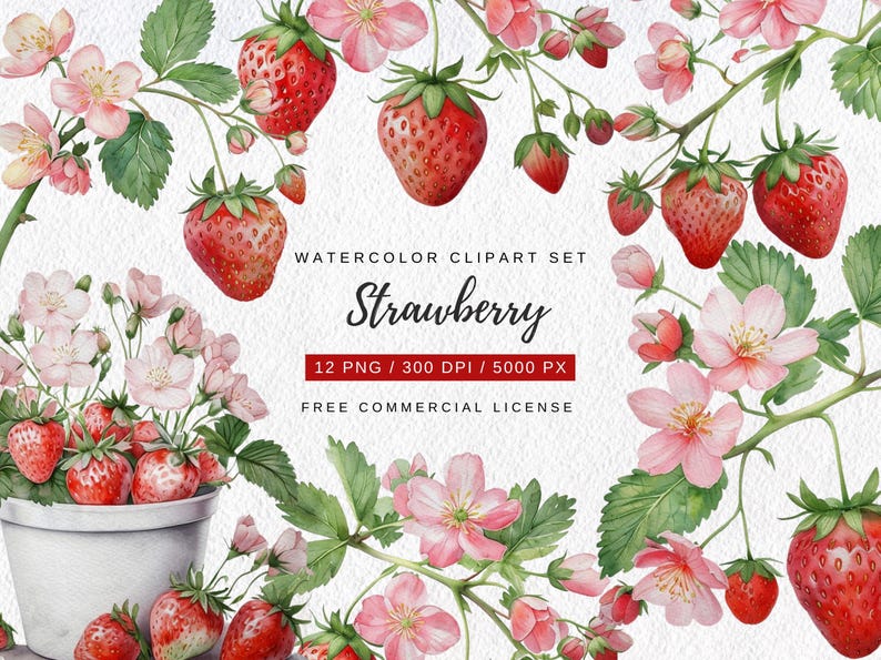 12 Watercolor Strawberry Clipart Set – High-resolution Transparent ...
