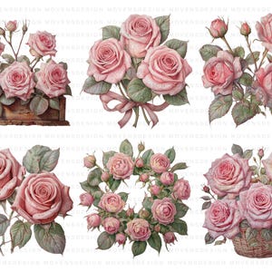 24 Beautiful Pink Roses PNG Clipart – High-quality Transparent Flower ...