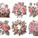 24 Beautiful Pink Roses PNG Clipart – High-quality Transparent Flower ...