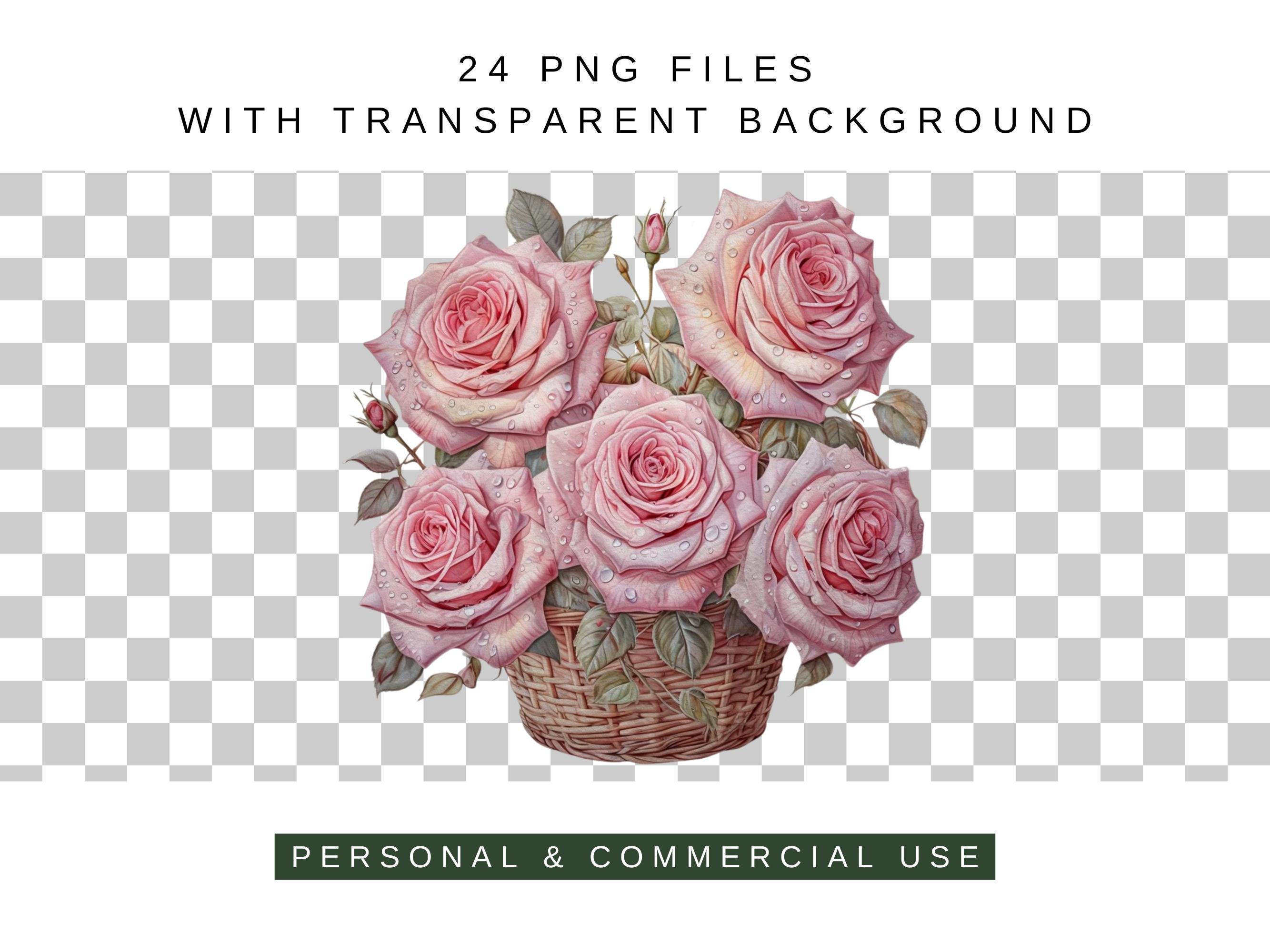24 Beautiful Pink Roses PNG Clipart – High-quality Transparent Flower ...