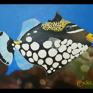 Clown Trigger Fish Painting - Etsy