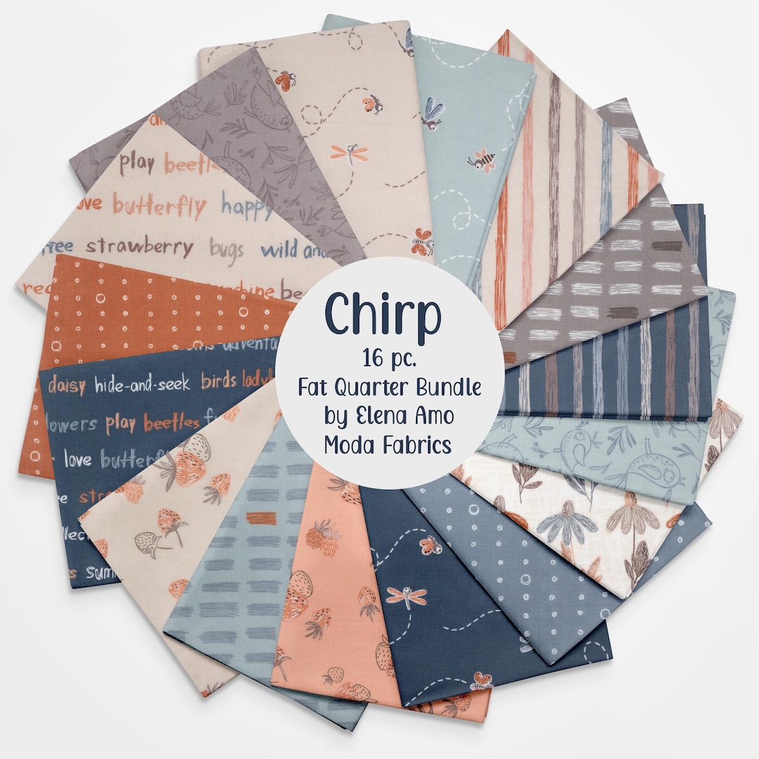 Chirp 16 Pc. Children's Quilt Fabric Fat Quarter Bundle - Etsy