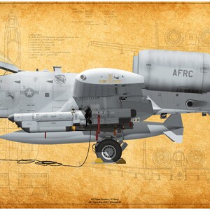 A-10C Thunderbolt II, 303 Fighter Squadron "kc Hawgs," 442 Operations ...