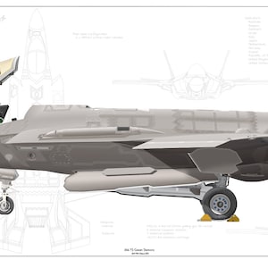 F-35A Lightning II 356 FS "green Demons" 354 Fighter Wing Eielson AFB ...