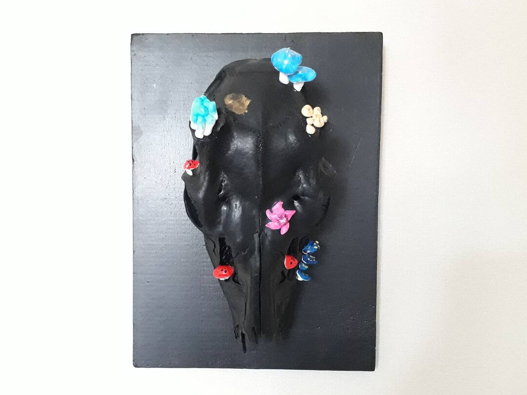 Fantasy Fallow Deer Skull Mount With Little Mushrooms - Etsy
