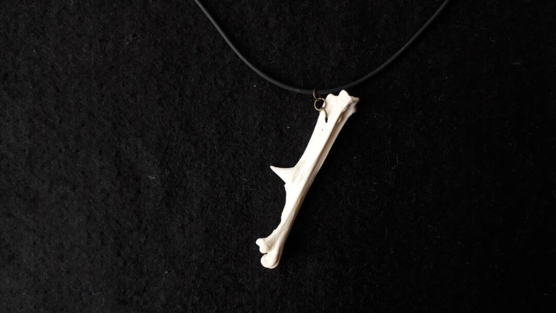 Pheasant Foot Bone Necklace - Etsy