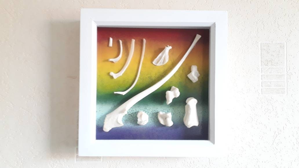 Frame of Bones. Choice of Background - Etsy