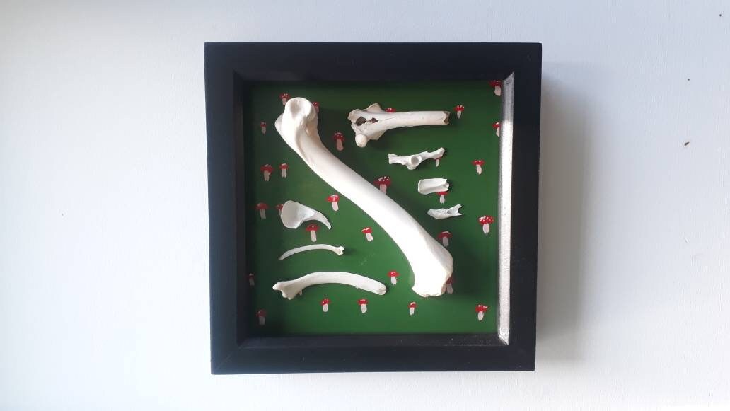 Frame of Bones. Choice of Background - Etsy
