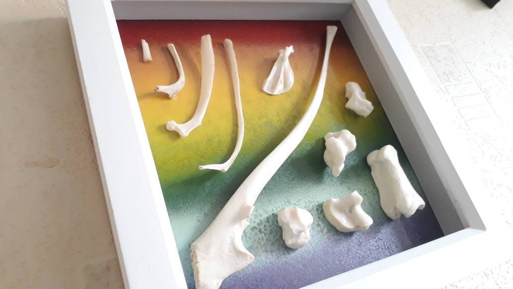 Frame of Bones. Choice of Background - Etsy