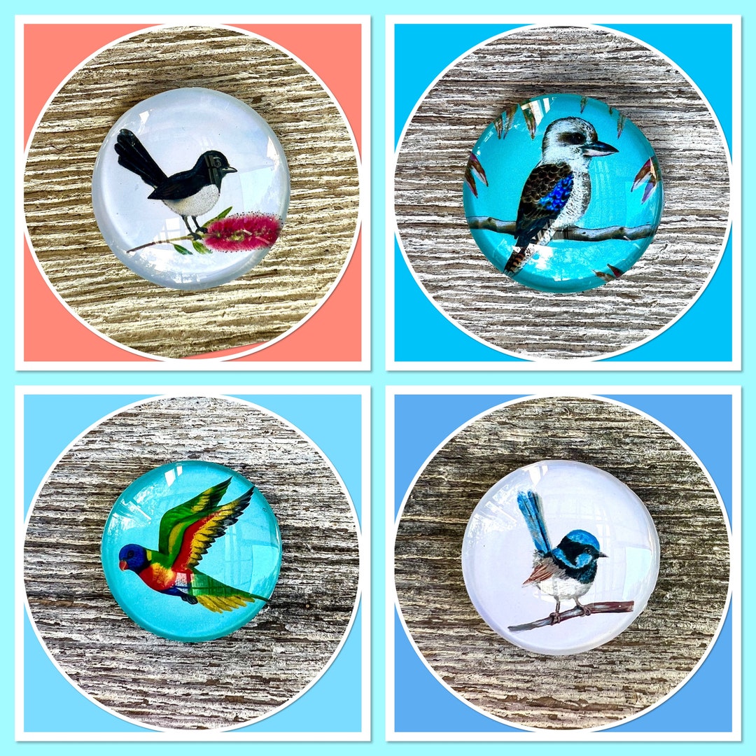 Australian Native Bird Fridge Magnets Set of Four Australian - Etsy