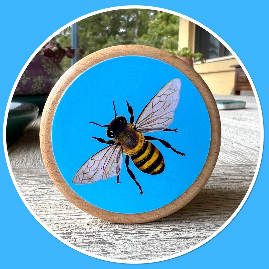 Bee Trinket Box, Bee Wooden Box, Bee Box, Bee Art, Bee, Bee Gift Ideas ...