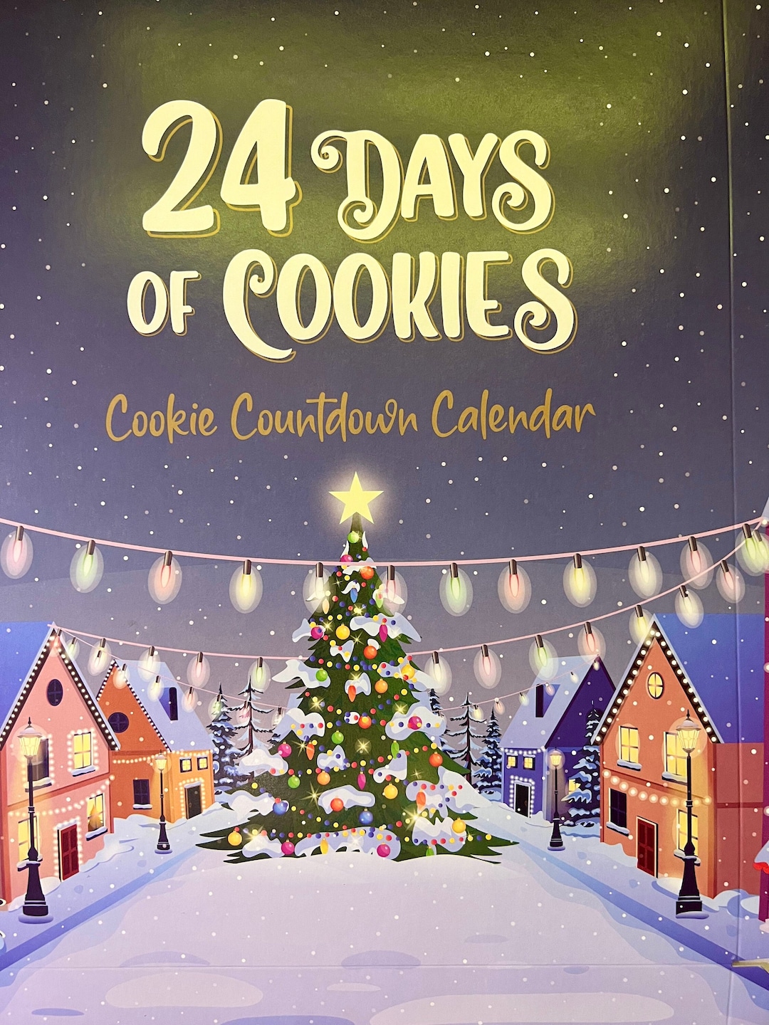 24 Day Christmas Cookie Countdown/ Advent Calendar - Etsy