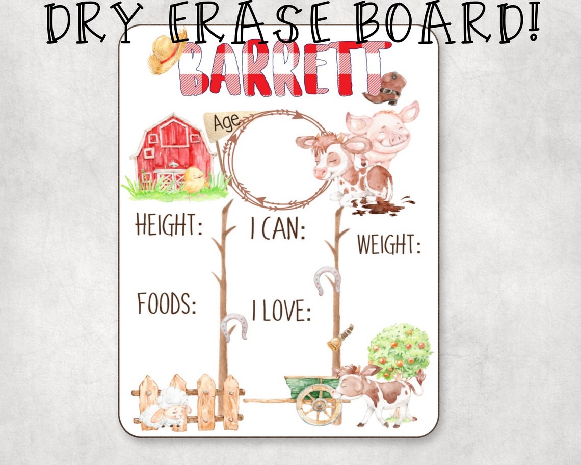 Reusable birthday board girls birthday board cactus and | Etsy