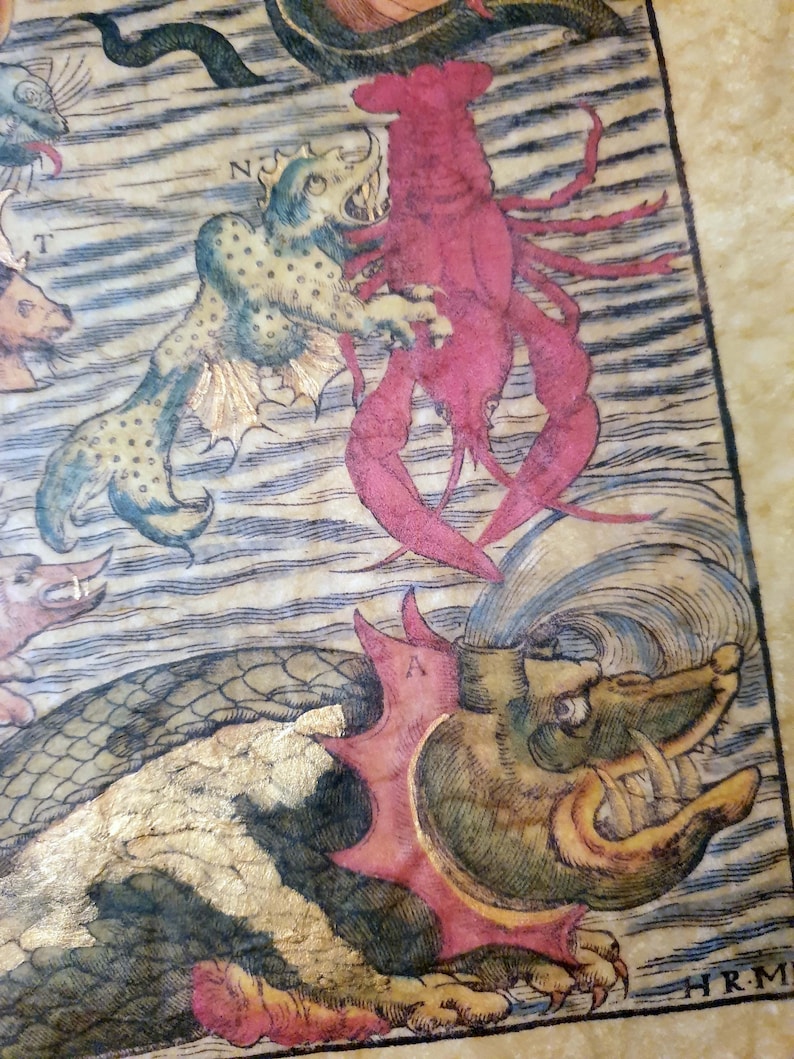 Medieval Art Replica Map of Sea Monsters Sebastian Munster - Etsy