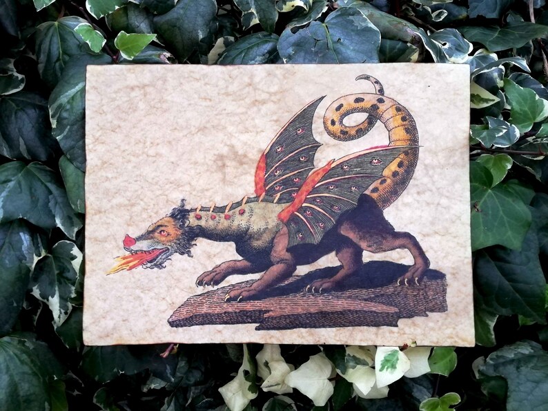 Vintage Mythology Art Replica Dragon by Friedrich Justin Bertuch, 1806 ...