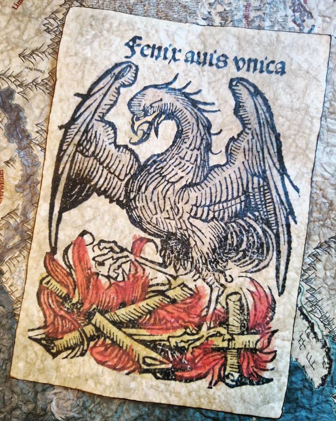 Medieval Mythology Art Replica • Phoenix From Nuremberg Chronicle, 1493 ...
