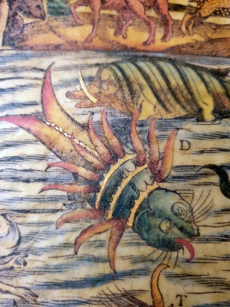 Medieval Art Replica Map of Sea Monsters Sebastian Munster - Etsy