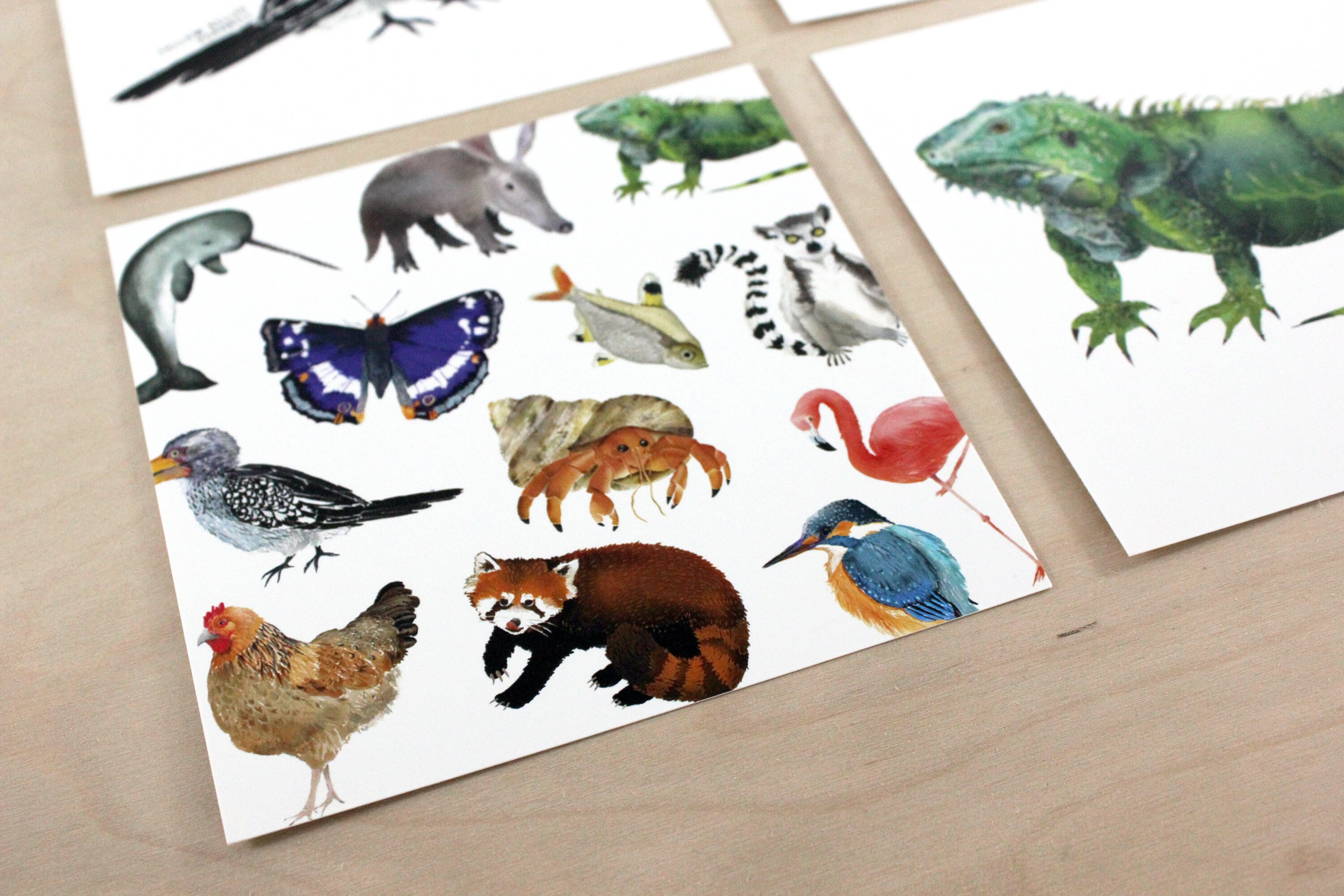 Animal Postcards, Illustrated, 4 Pack, Bird Fish Iguana Allsorts - Etsy