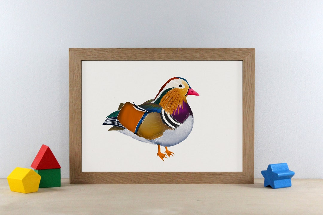Mandarin Duck Print - Etsy