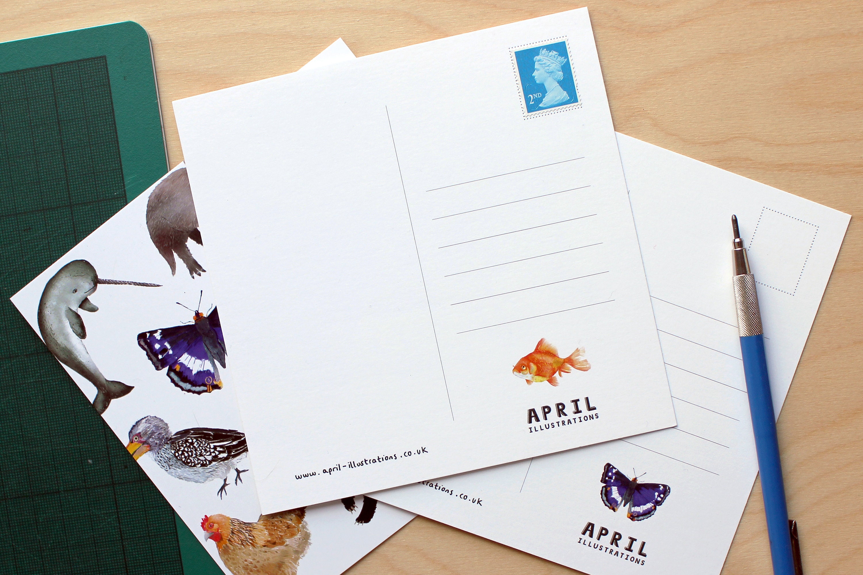 Animal Postcards, Illustrated, 4 Pack, Bird Fish Iguana Allsorts - Etsy