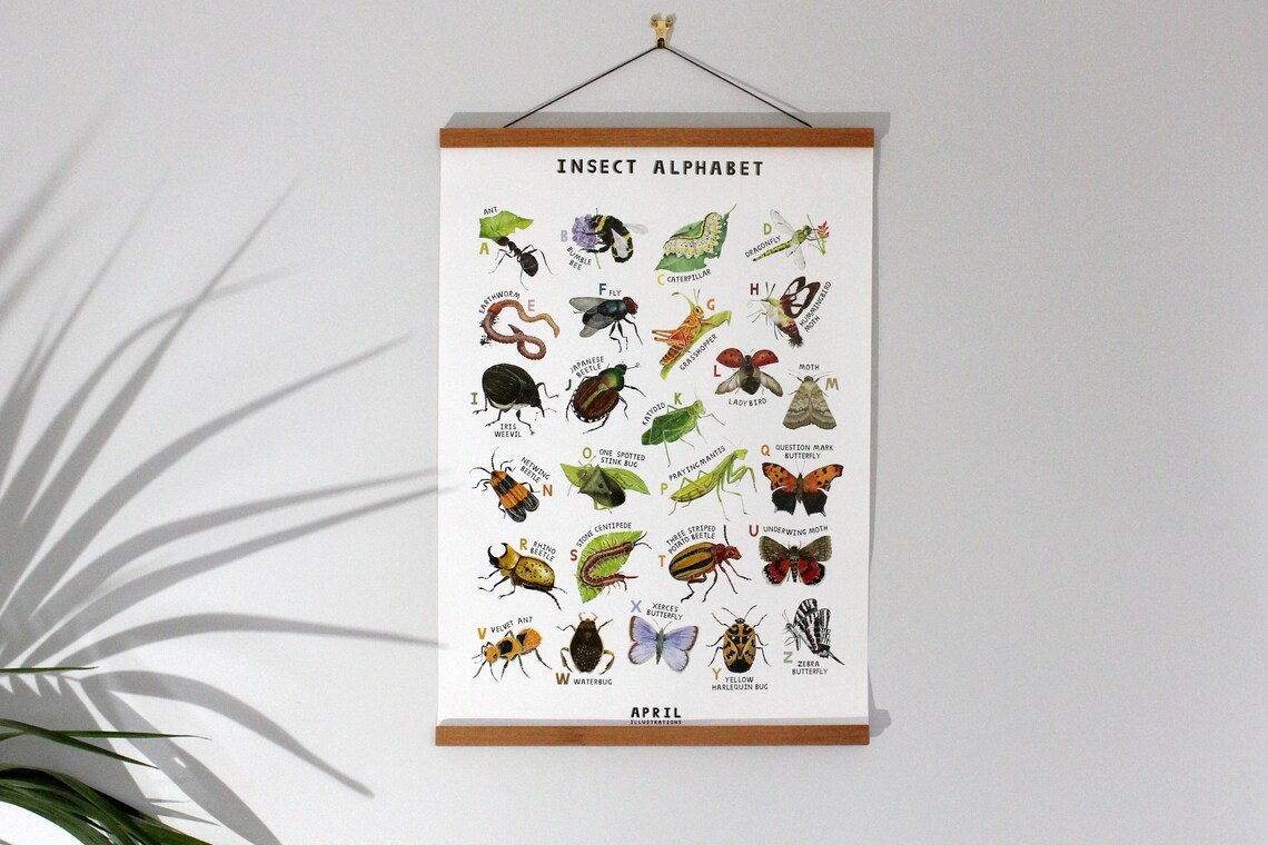Insect Alphabet A2 Poster | Etsy