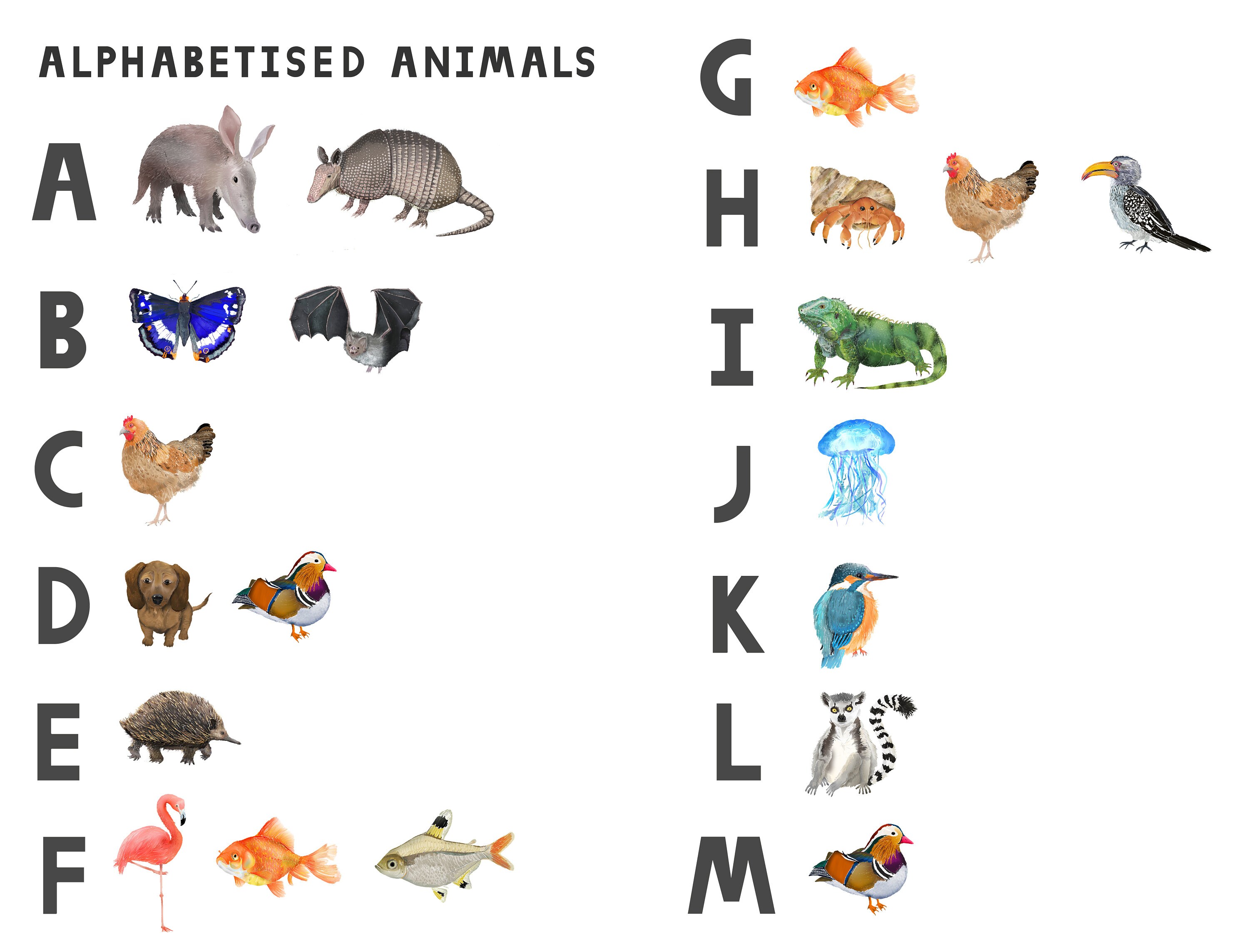 Animal Alphabet Name Children's Bedroom Art Nursery | Etsy