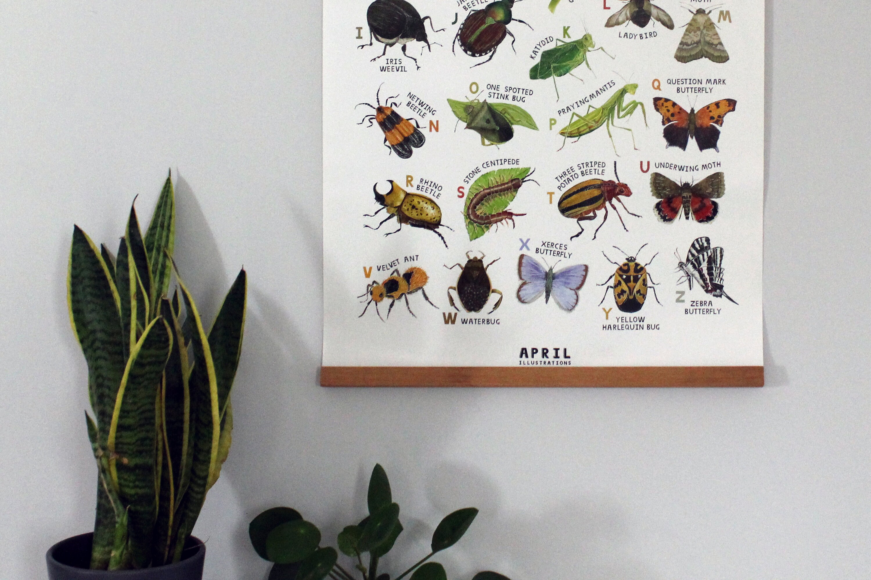 Insect Alphabet A2 Poster | Etsy