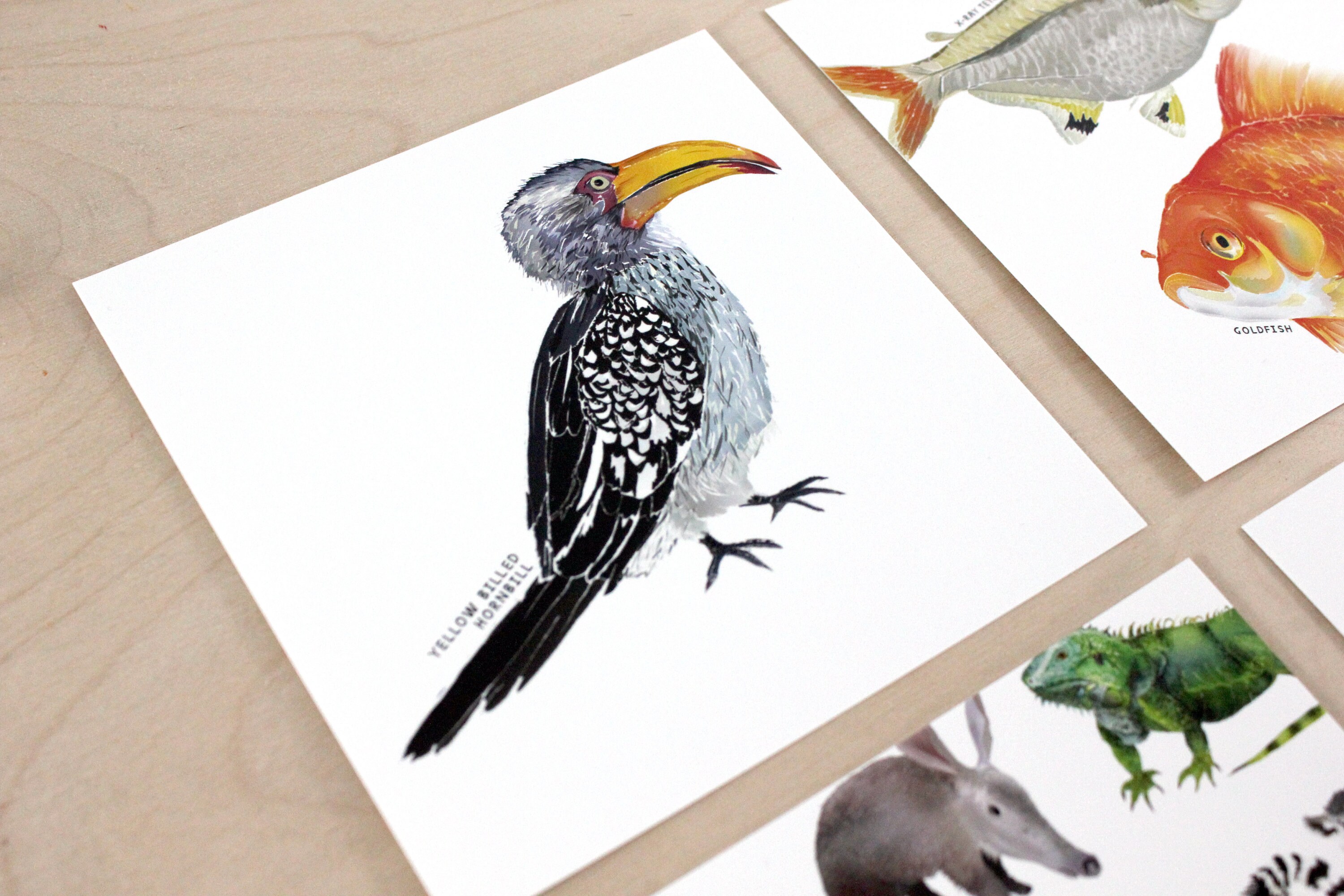 Animal Postcards, Illustrated, 4 Pack, Bird Fish Iguana Allsorts - Etsy