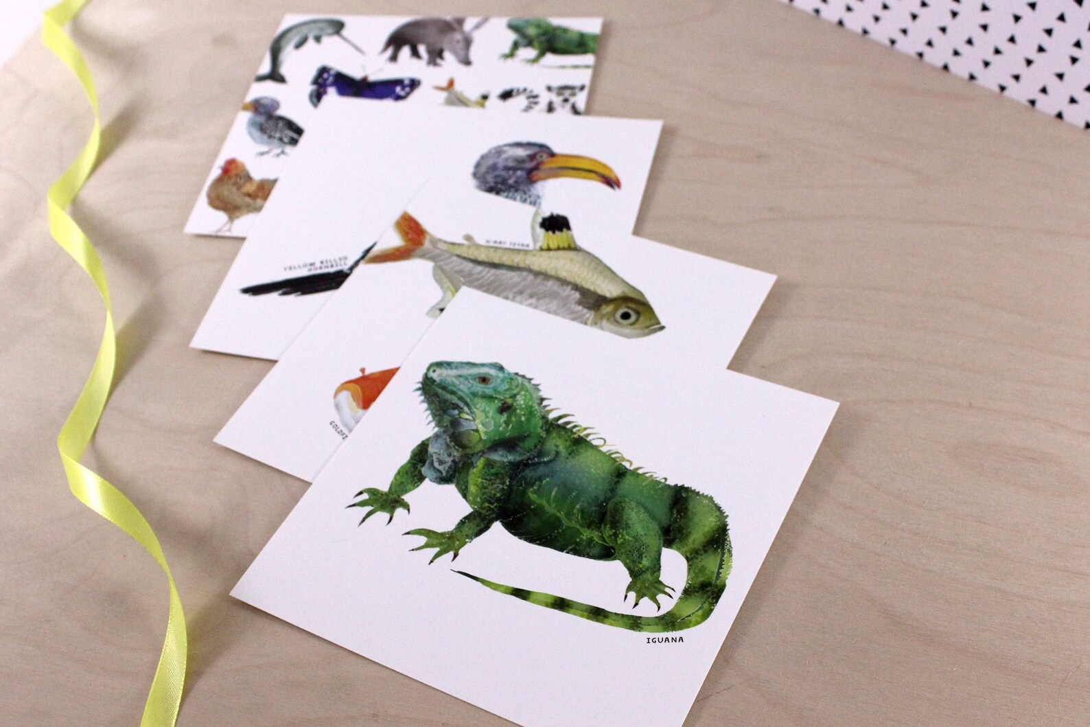 Animal Postcards, Illustrated, 4 Pack, Bird Fish Iguana Allsorts - Etsy