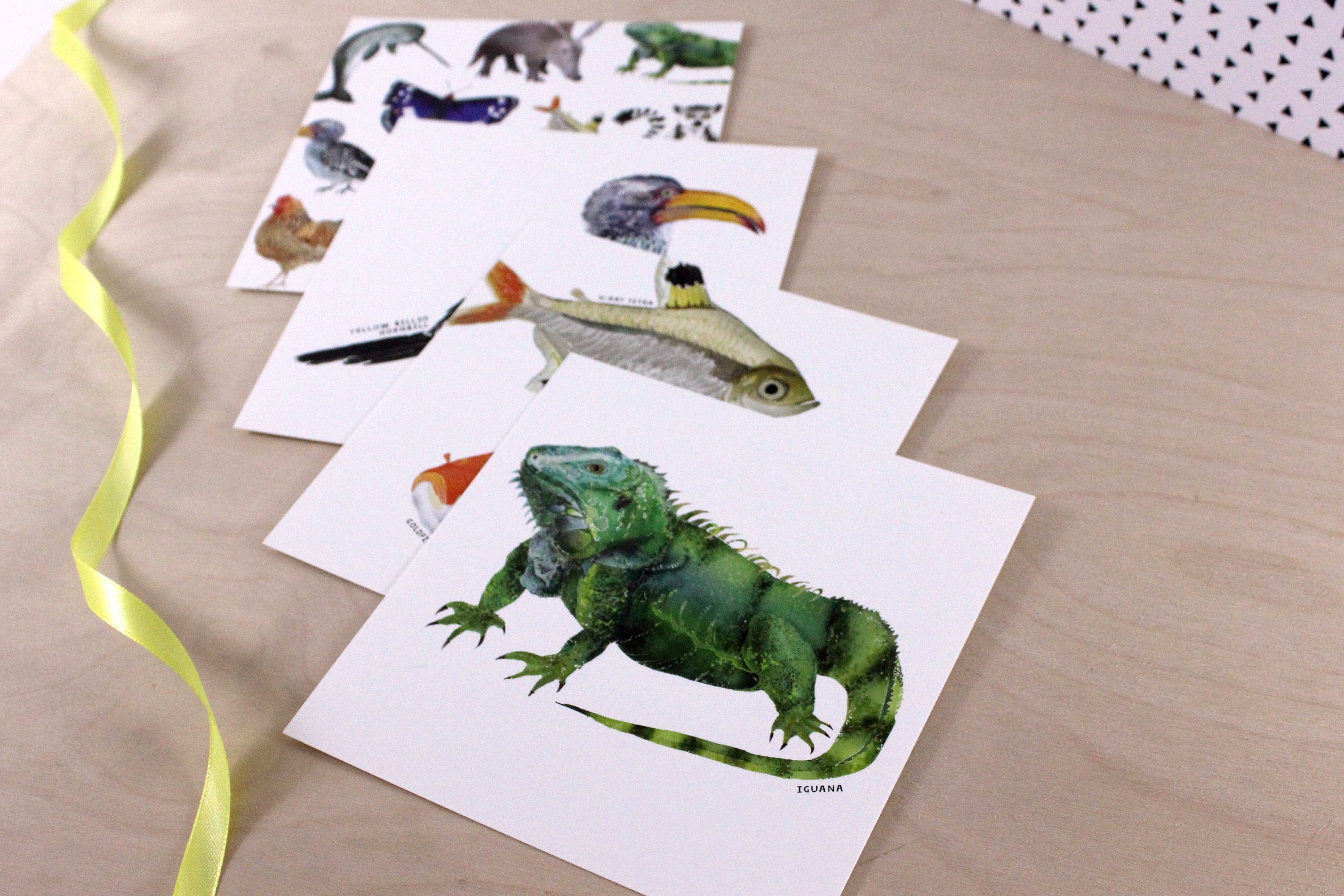 Animal Postcards, Illustrated, 4 Pack, Bird - Fish - Iguana - Allsorts ...
