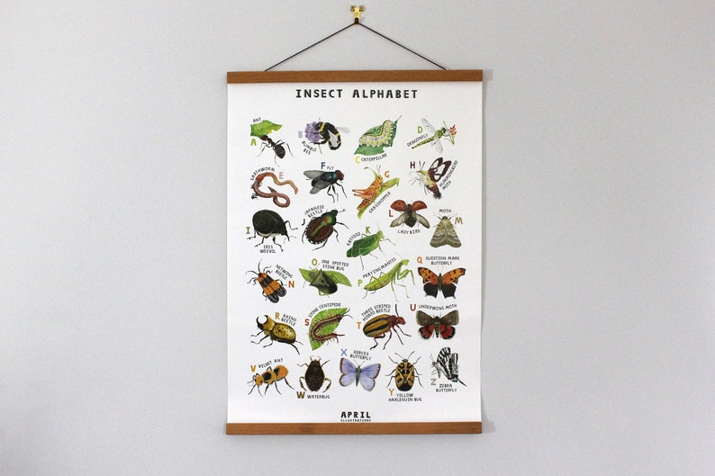 Insect Alphabet - A2 Poster - Etsy UK