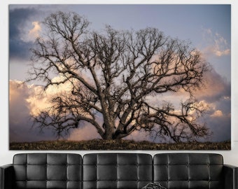 Oak Tree Wall Art - Etsy
