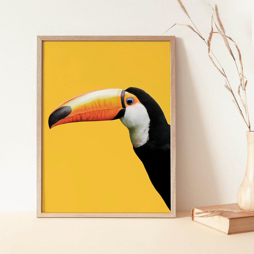 Impresión de tucán, impresión de pájaros, arte de pared imprimible ...