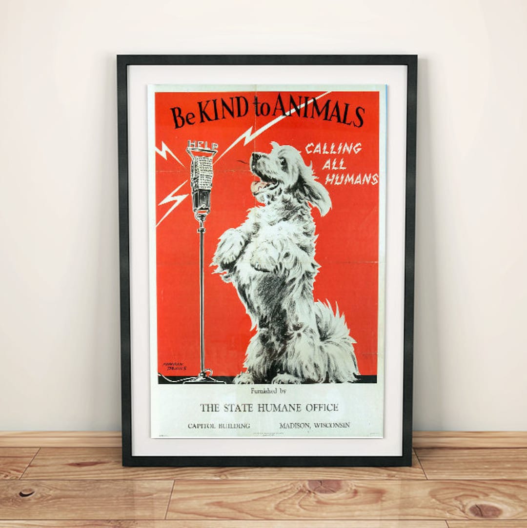 Be Kind to Animals Calling All Humans Vintage Animal Rights Welfare ...