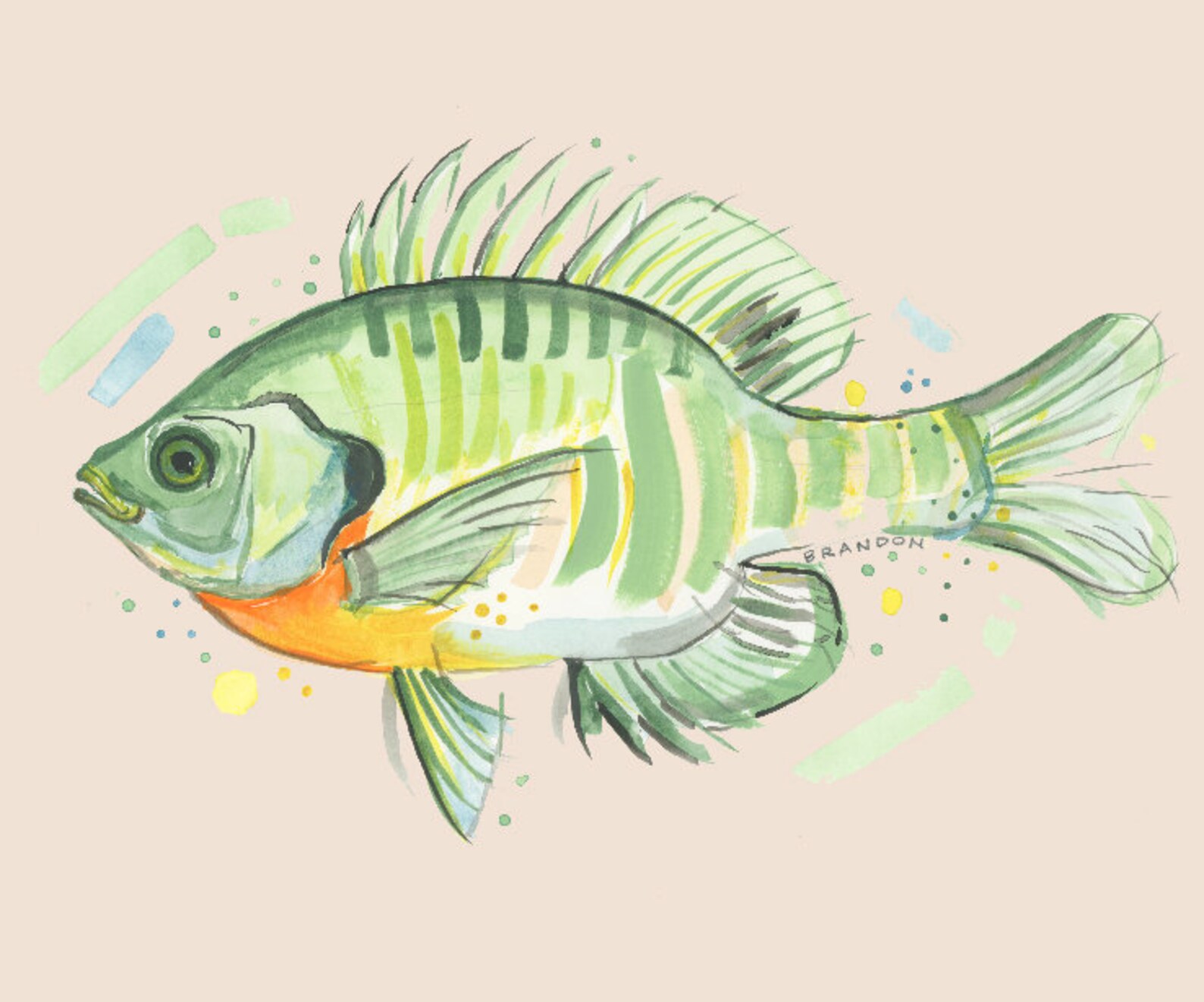 Bluegill Print Fish Lake River Beach Mountain Lodge Cabin - Etsy