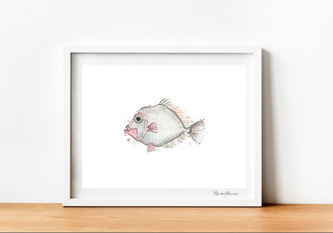 Lookdown Dory Fish Coastal Beach House Decor Painting Print - Etsy