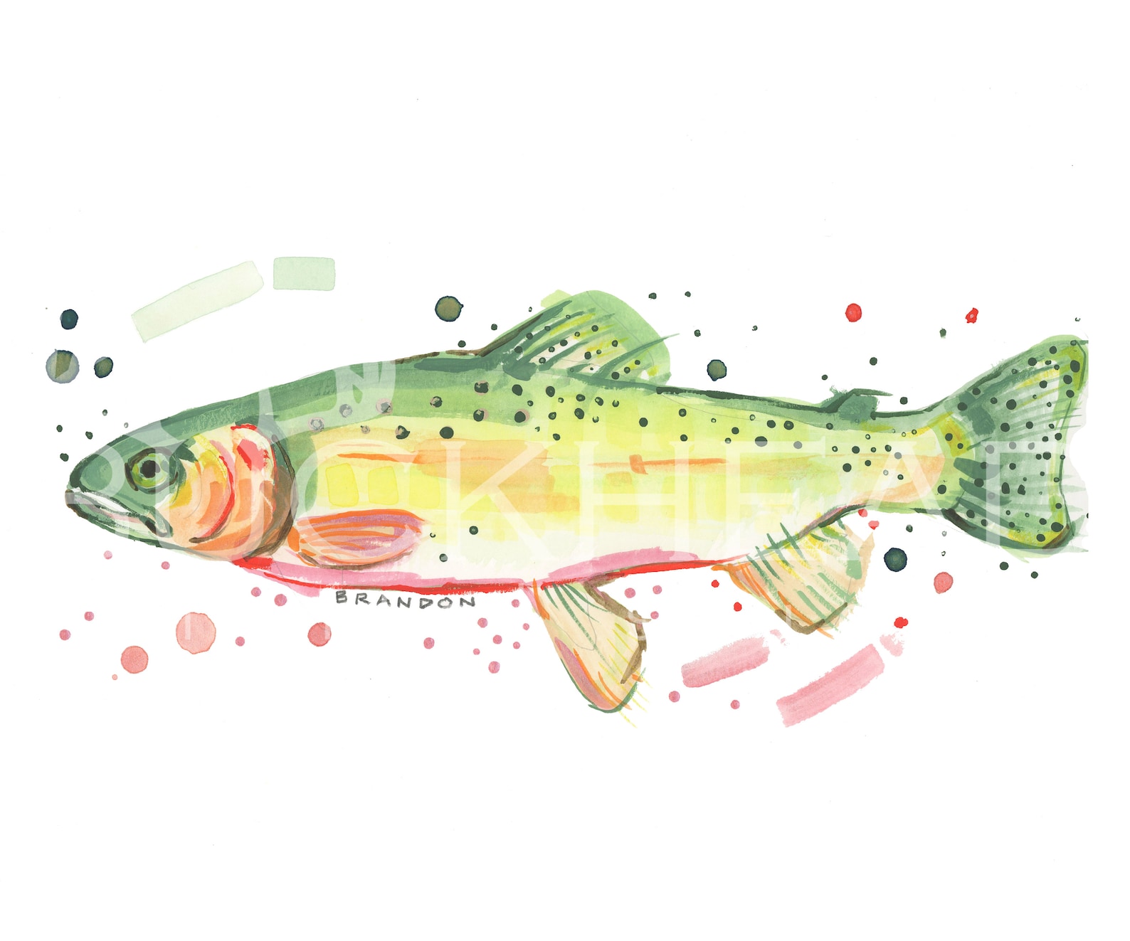 Cutthroat Trout Print (white) - Etsy