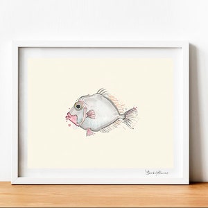 Lookdown Dory Fish Coastal Beach House Decor Painting Print - Etsy