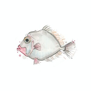 Lookdown Dory Fish Coastal Beach House Decor Painting Print - Etsy