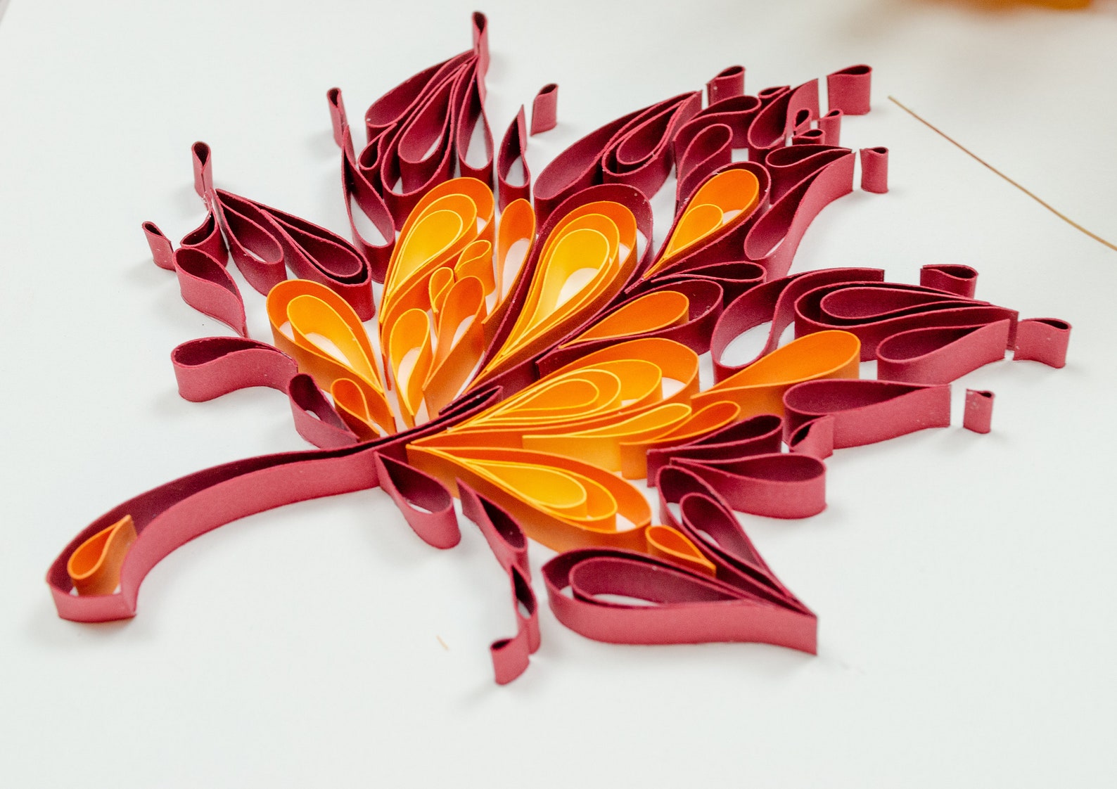 Quilling Autumn Leaf - Mahagon Fall Quilling Template - Maple Leaf ...