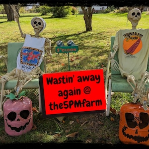 Bamboozle the Halloween Pumpkin, Jack O Lanterns, Farmhouse, Metal Lawn ...